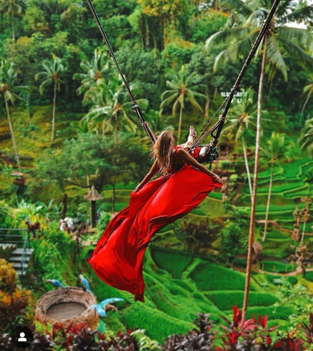 Bali in 1-Day: Monkey Forest, Swing, Temple, Volcano, Waterfall & Rice ...